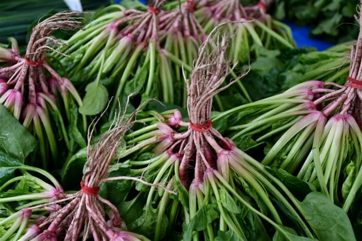 Neng Yang | Salamanca Market